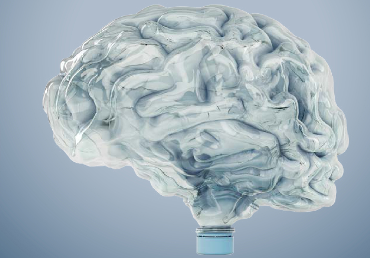 usa-il-cervello.jpg